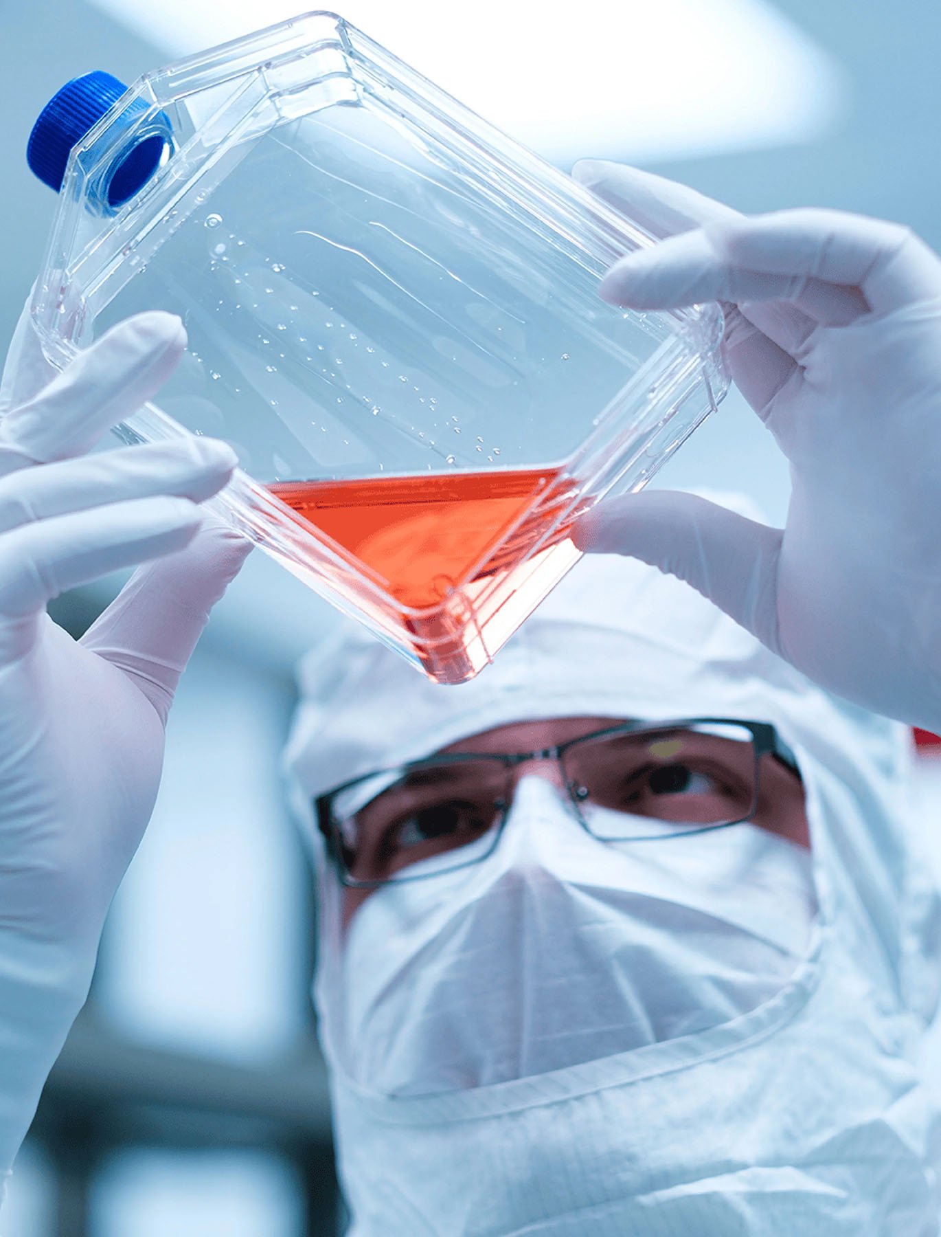 Primary Human Skeletal Muscle-Derived Cells & Media | Cook Myosite